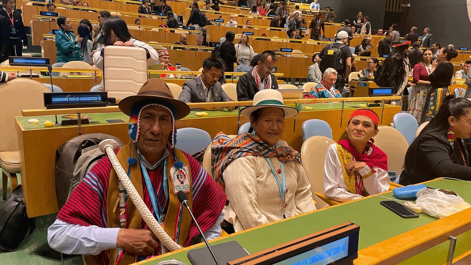Cultural Survival Denounces Harassment of Indigenous Delegates at ...
